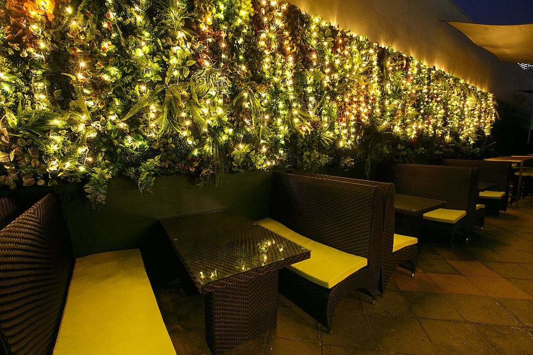 Butterfly 73, Northbridge, Perth - Review and Details